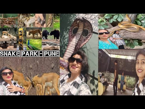 Snake park in pune katraj vlogs 😊 full enjoy my family #priyavloger0612 ...