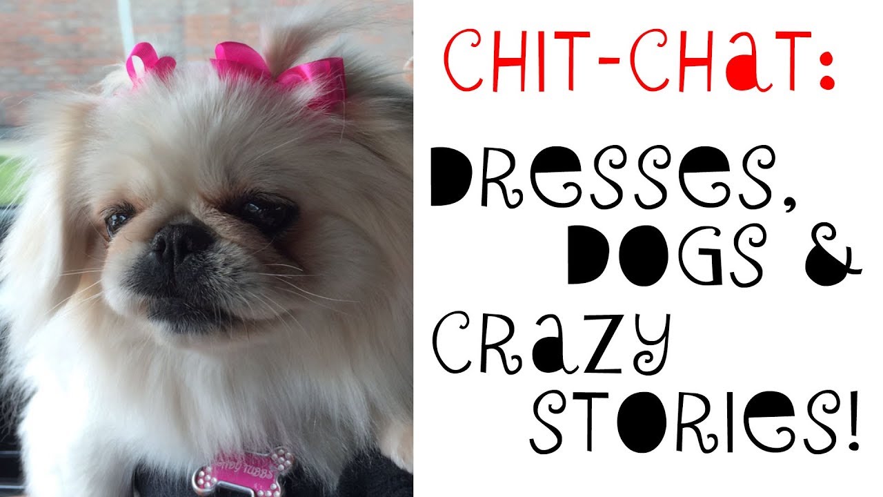 Chit-Chat: Dresses, Dogs & Crazy Stories! - YouTube