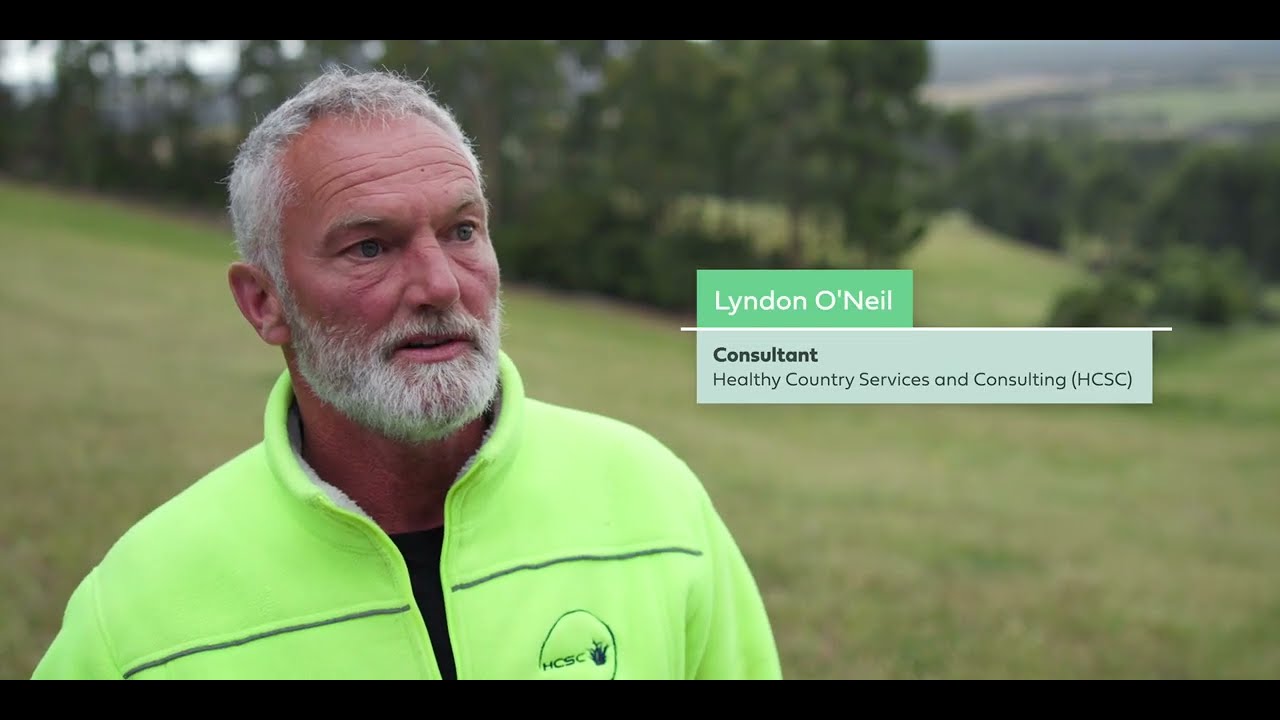 Traditional Land Management with Lyndon O'Neil - YouTube