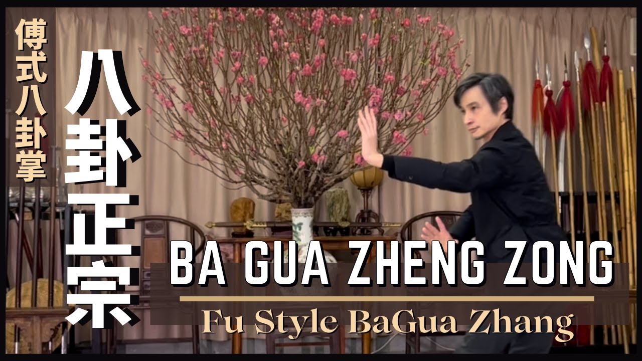 傅式八卦掌-八卦正宗 Fu Style BaGua Zhang-Ba Gua Zheng Zong - YouTube