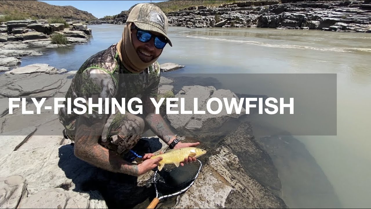 Fly fishing Yellowfish on the Orange River-Boiled Egg Safari Ep.011 - YouTube