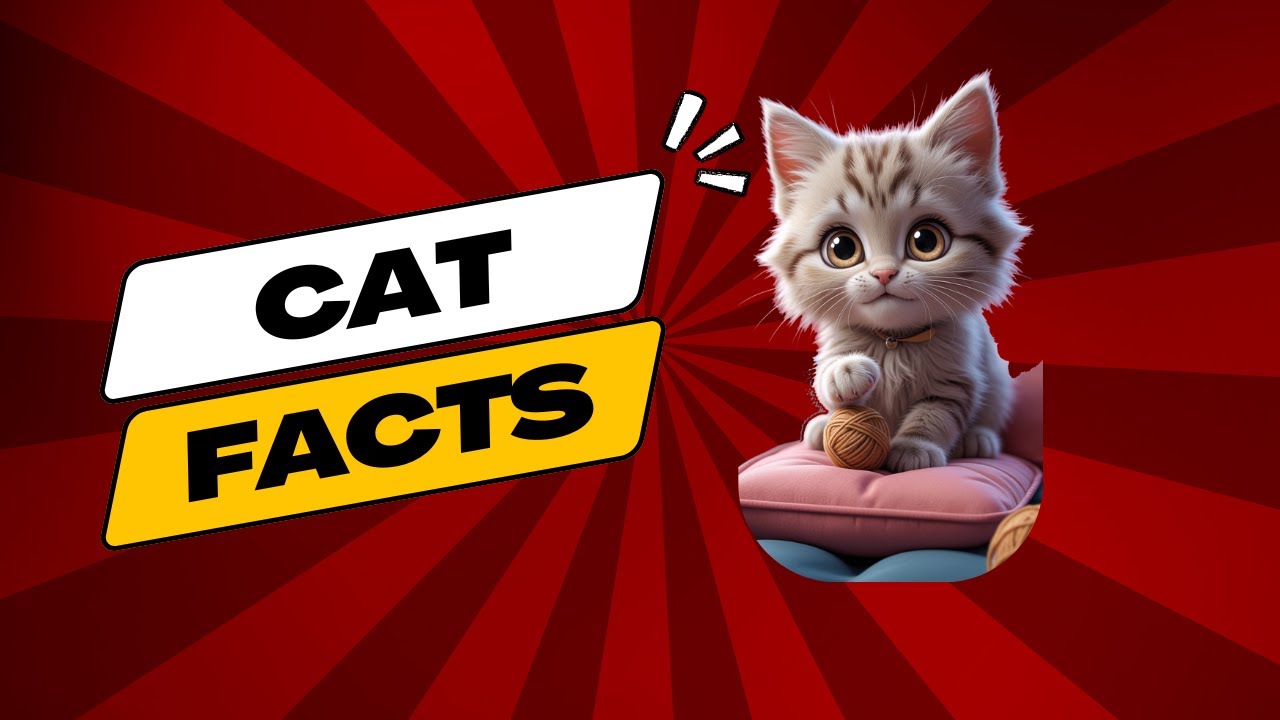 Fun and Fascinating Cat Facts You Probably Didn’t Know | Must-Know Cat ...