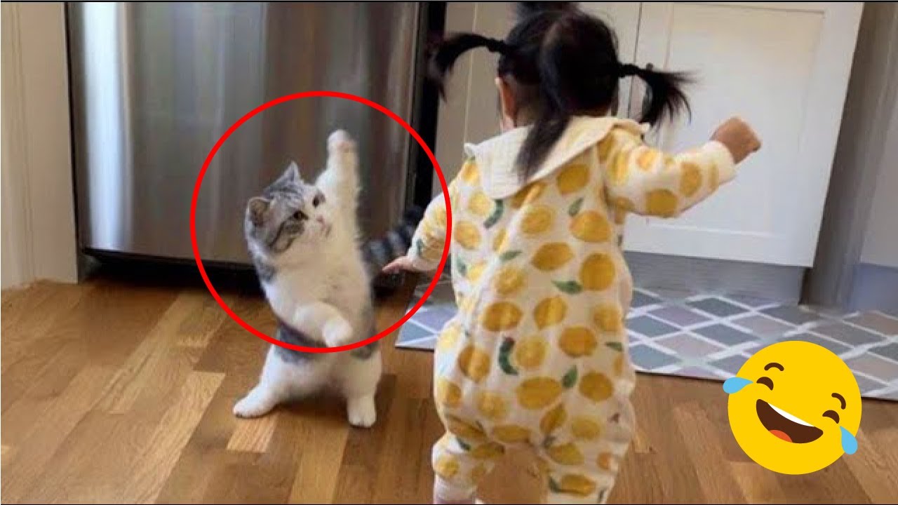 The Most dramatic cats moments ever! 😂Funniest Cat Videos😹 - YouTube
