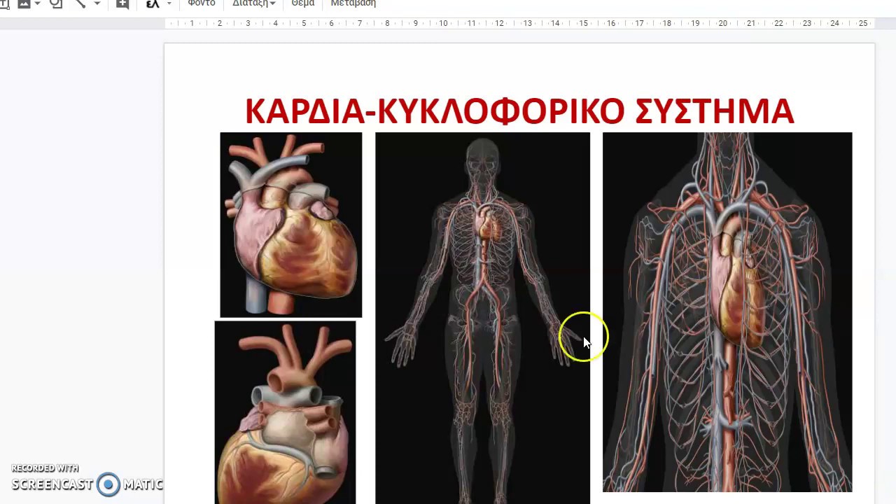 ΜΑΘΗΜΑ ΚΥΚΛΟΦΟΡΙΚΟ ΣΥΣΤΗΜΑ - YouTube