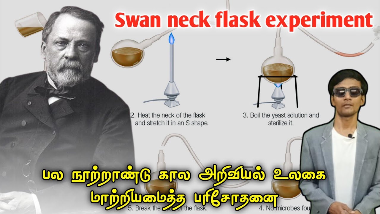The Swan-Neck Flask Experiment: How Louis Pasteur Disproved Spontaneous ...