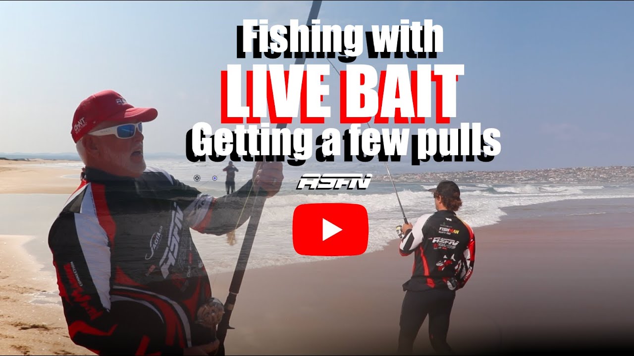 Targeting Garrick & KOB off the Surf with LIVE BAIIT!!! - YouTube