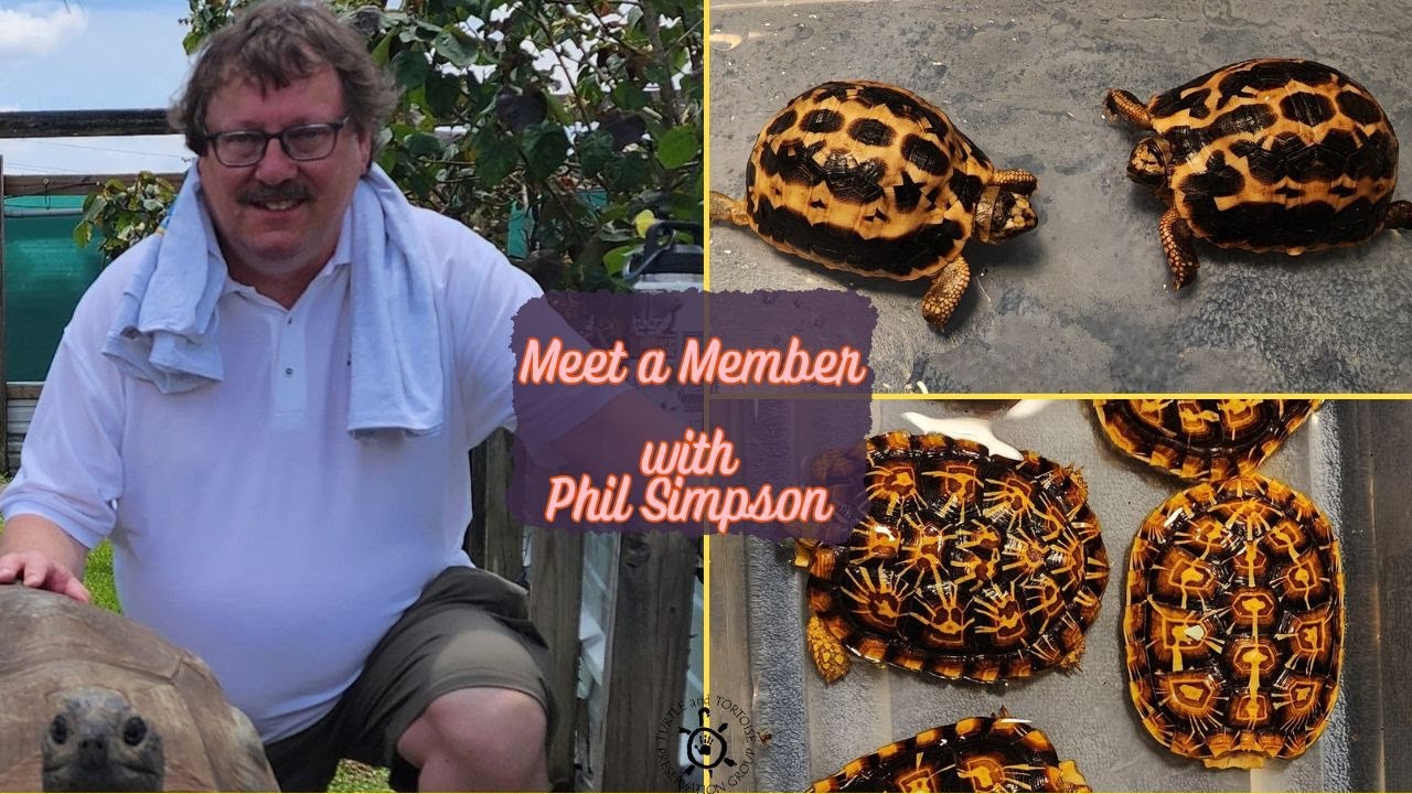 Meet a member - An evening with Phil Simpson - YouTube