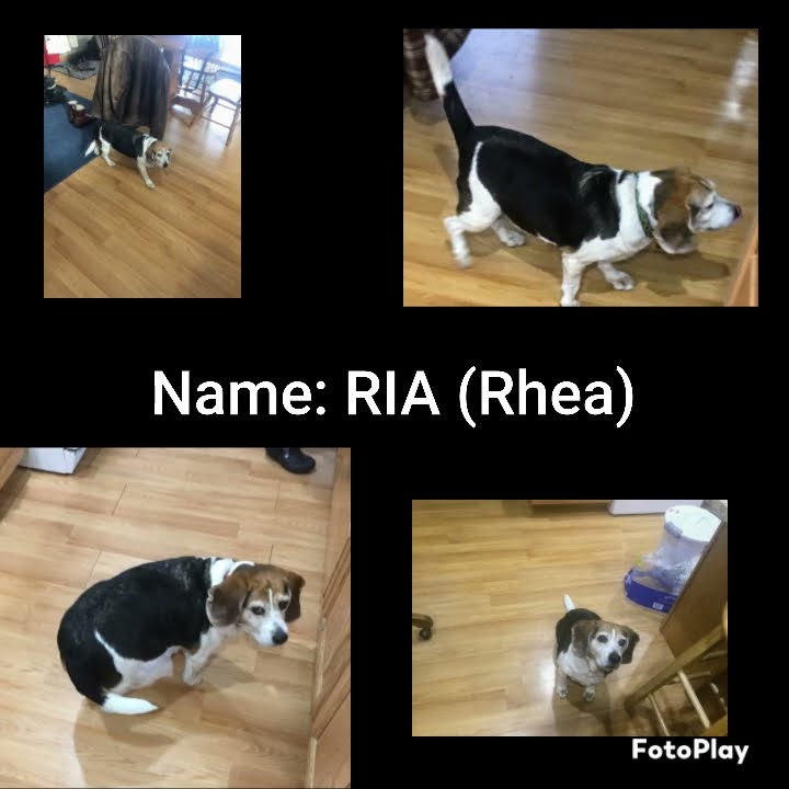 name Ria (Rhea) and its oragin - YouTube