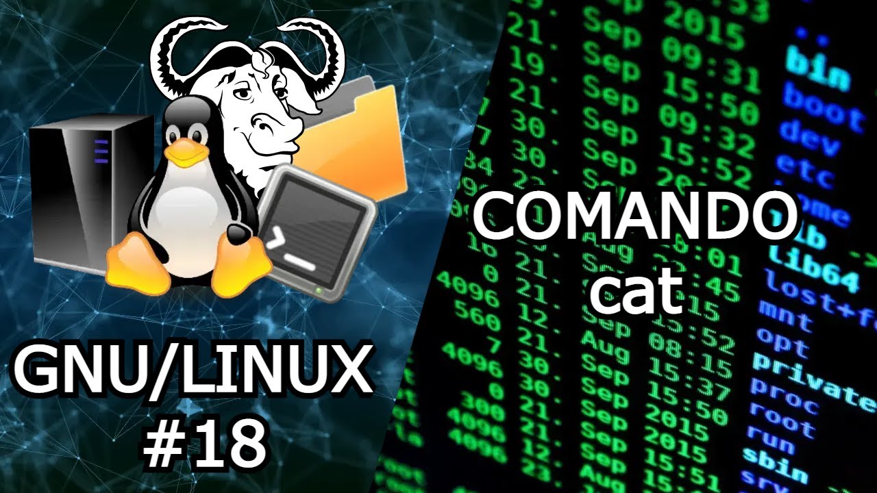 Comando CAT | 💻 Curso de GNULINUX de CERO a AVANZADO 👨‍💻| Cap. 18 - YouTube