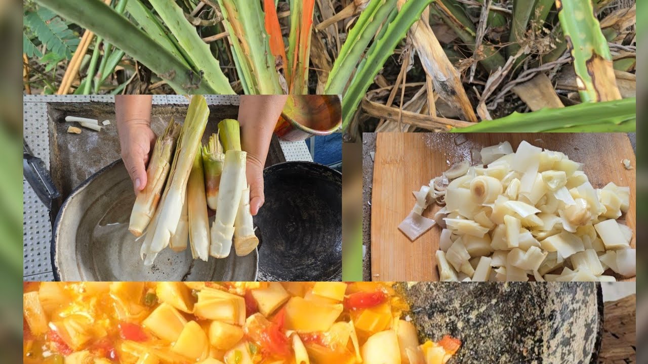 YA ES TIEMPO DE LAS MUTAS,UNA RECETA DE COCINA SALVADOREÑA. - YouTube