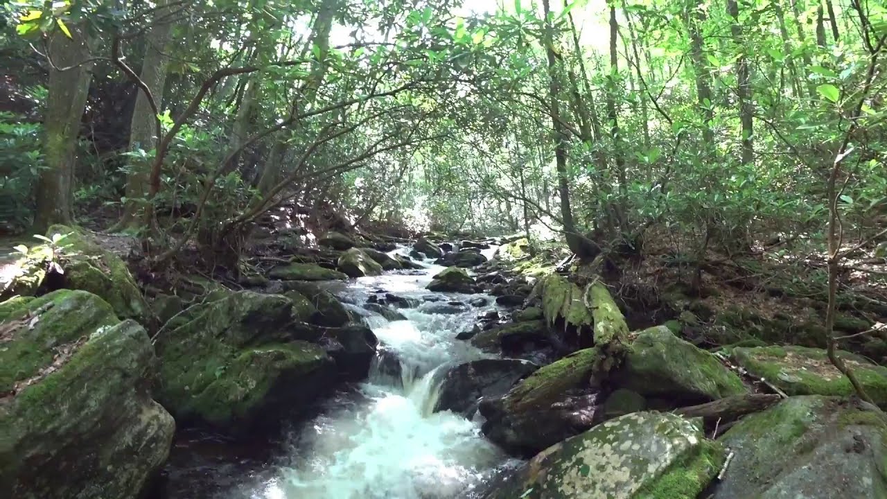 Timber Ridge Trail Southern Nantahala Wilderness - YouTube