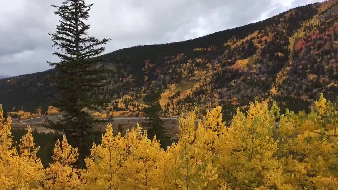 ALL ABOARD the Leadville Colorado & Southern Railroad fall colors ...
