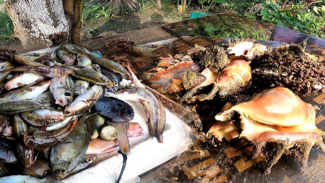 Di talaga kami ma walan ng saang pag dito kami nanlambat basta malinaw ...