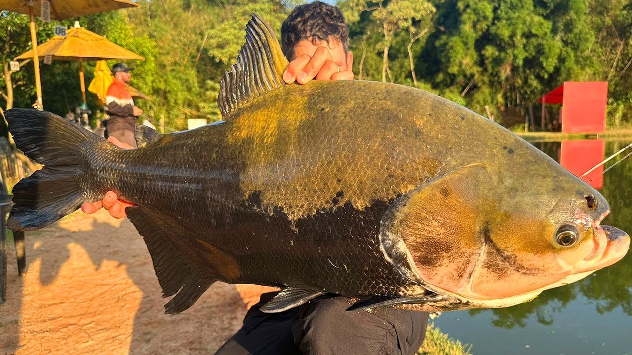 CONHECENDO O PESQUEIRO PEXE GORDO - YouTube