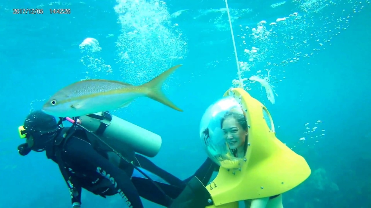 Bahamas - Bubble Sub & Shark Island by Annie - YouTube