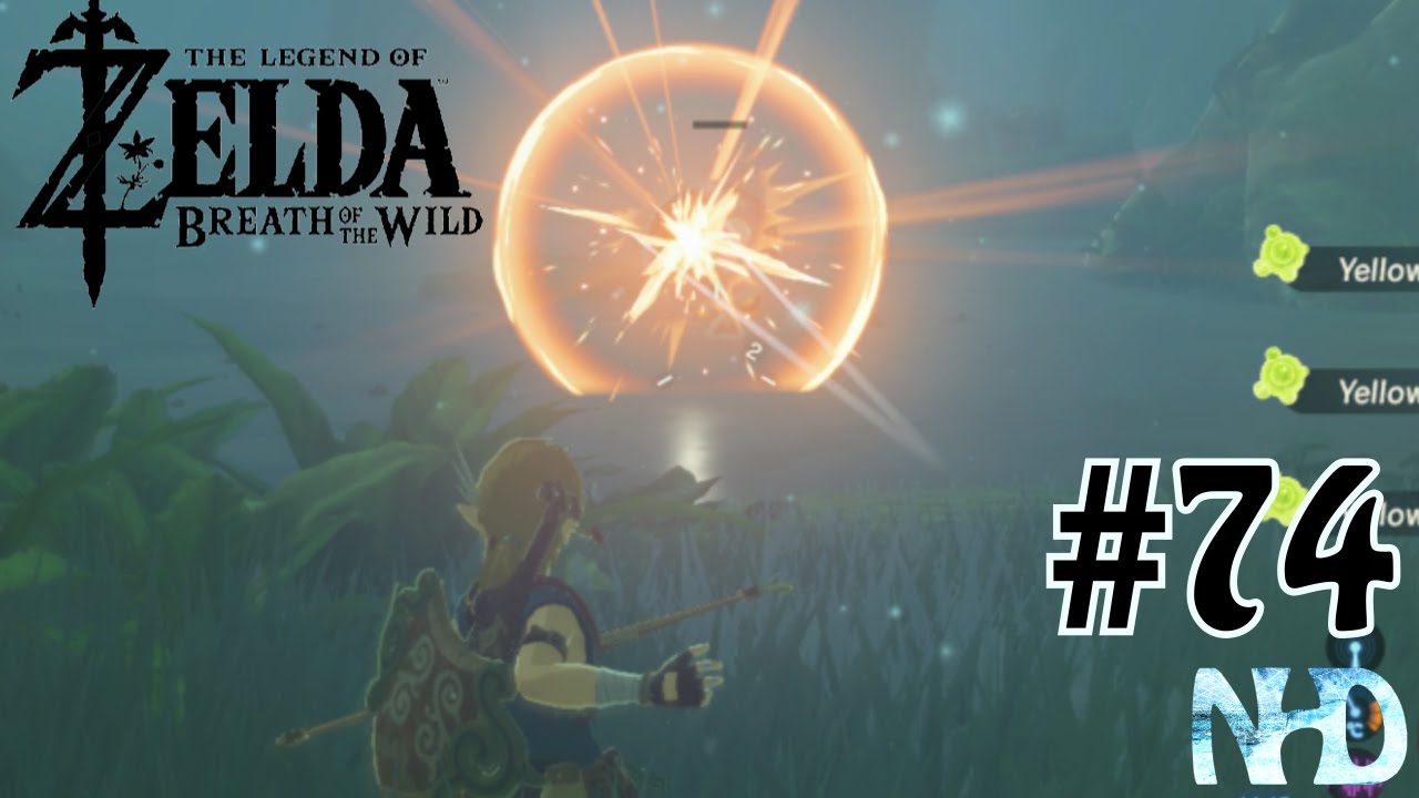 Let's Play The Legend of Zelda: Breath of the Wild (pt74) The Test of ...