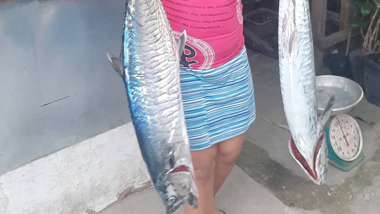 Tangigue FISH fresh at malalaki@diskartengabtik4902 - YouTube