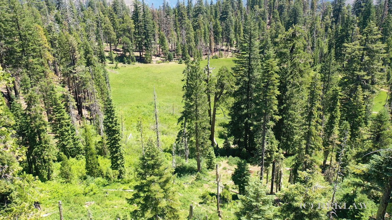 Six Rivers National Forest - Flint Valley Meadow By Drone - YouTube