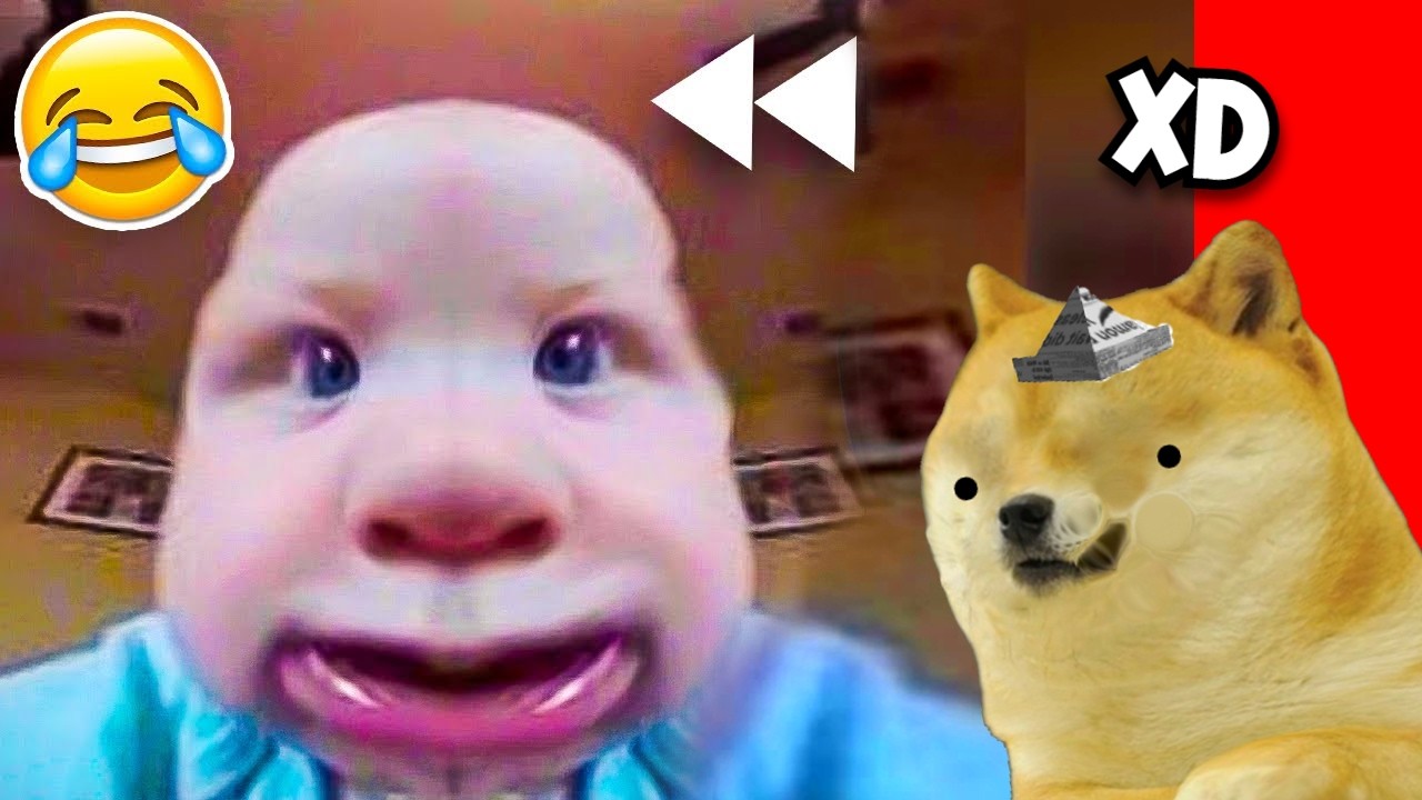 SI TE RIES, TIENES QUE REINICIAR ESTE VIDEO !! - Juegos con cheems - YouTube