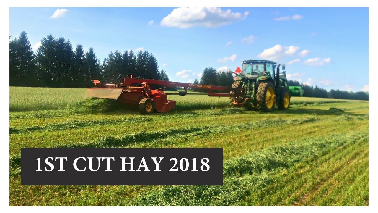 Harvesting First Cut Hay NEW SEEDING: Vlog 92 - YouTube