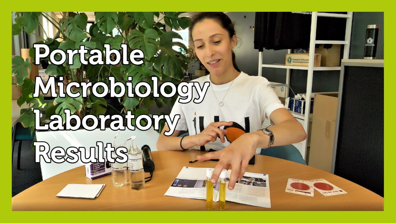 Portable Microbiology Laboratory Part 3 - Results - YouTube