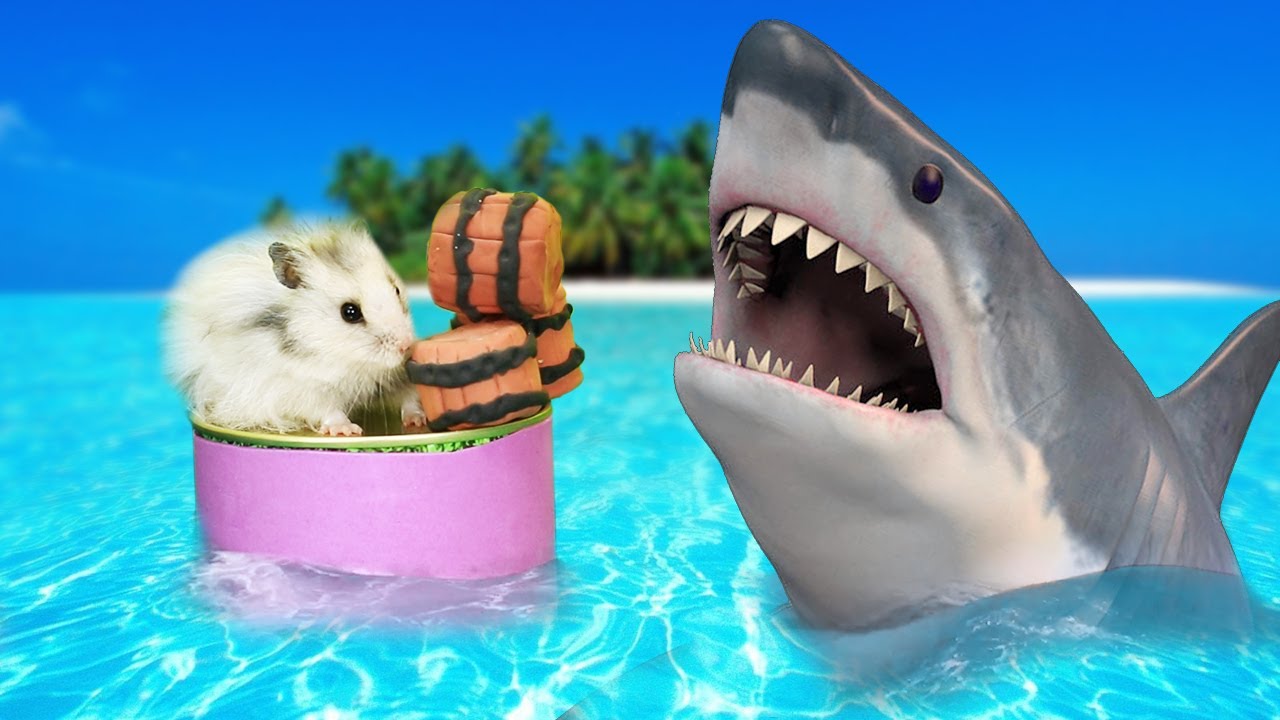 Hamster Escapes Underwater Maze with Giant Shark - YouTube