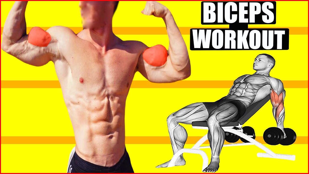 7 BEST Exercises for WIDER BICEPS | Best Exercises For Building Muscle ...