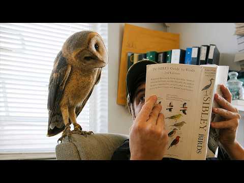 Animals Prove They're Smarter Than We Thought 🤪Funny Animal Videos 2026
