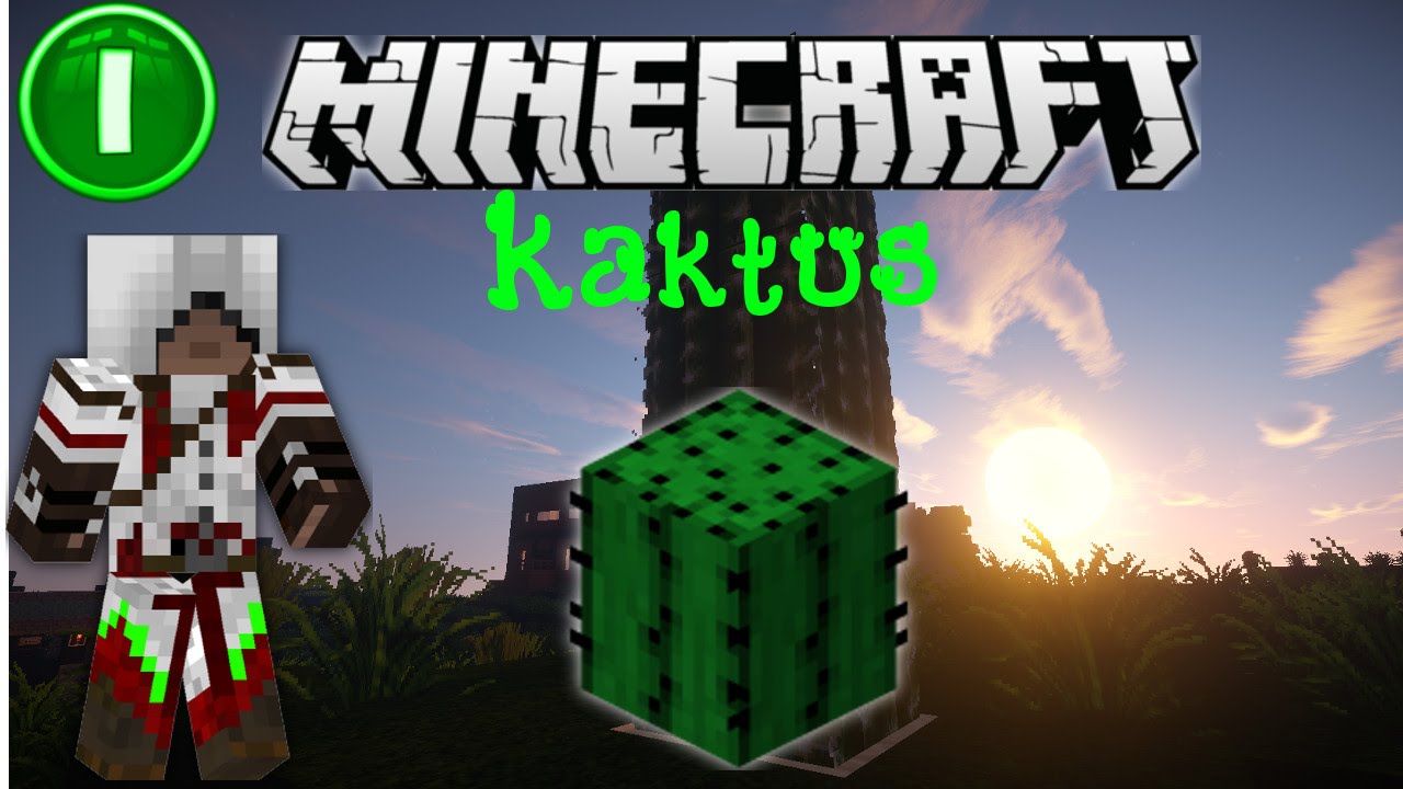 Wie kannst du nur? :´( ♦ Minecraft Cactice ♦ #1 ♦ [German HD] - YouTube