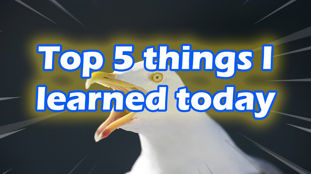 Top 5 things I learned today - YouTube