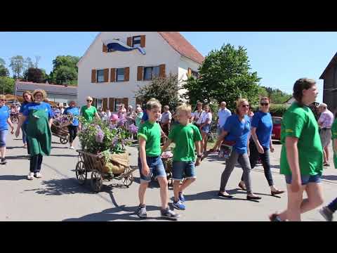 Festumzug BMF 2018 in Jedesheim
