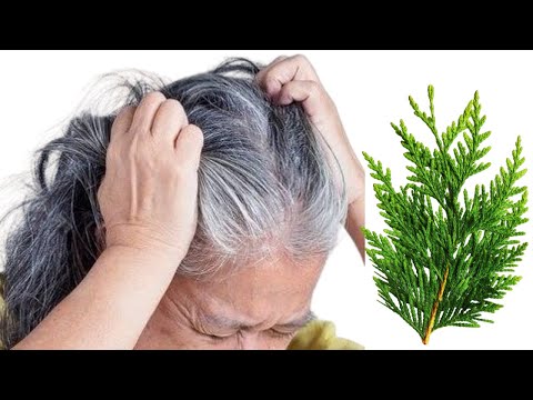 Großmutters graues Haar begann schwarz zu werden!😲 Ihre Haare sehen aus wie in ihrer Jugend!