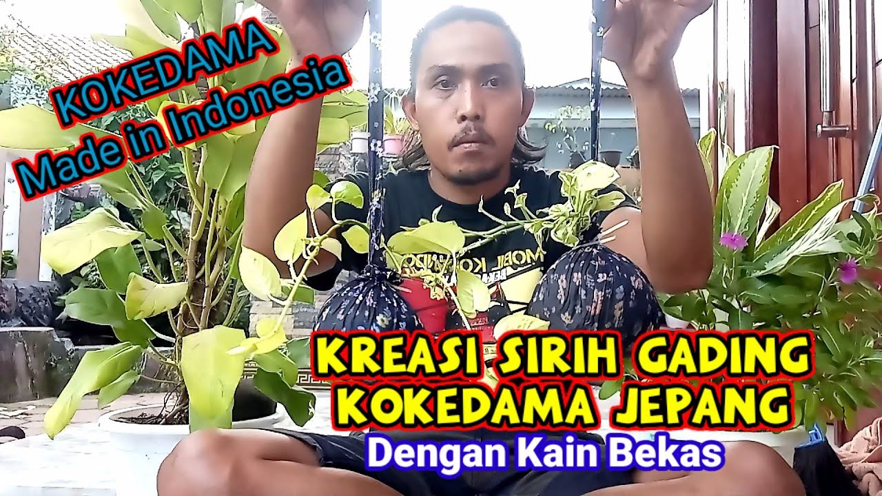 Kreasi Sirih Gading Menjadi KOKEDAMA Jepang - YouTube