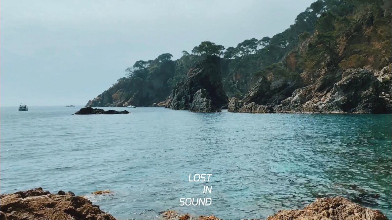 Zoo Brazil - Heart's a Legend feat. Philip (Sasse Remix) - YouTube