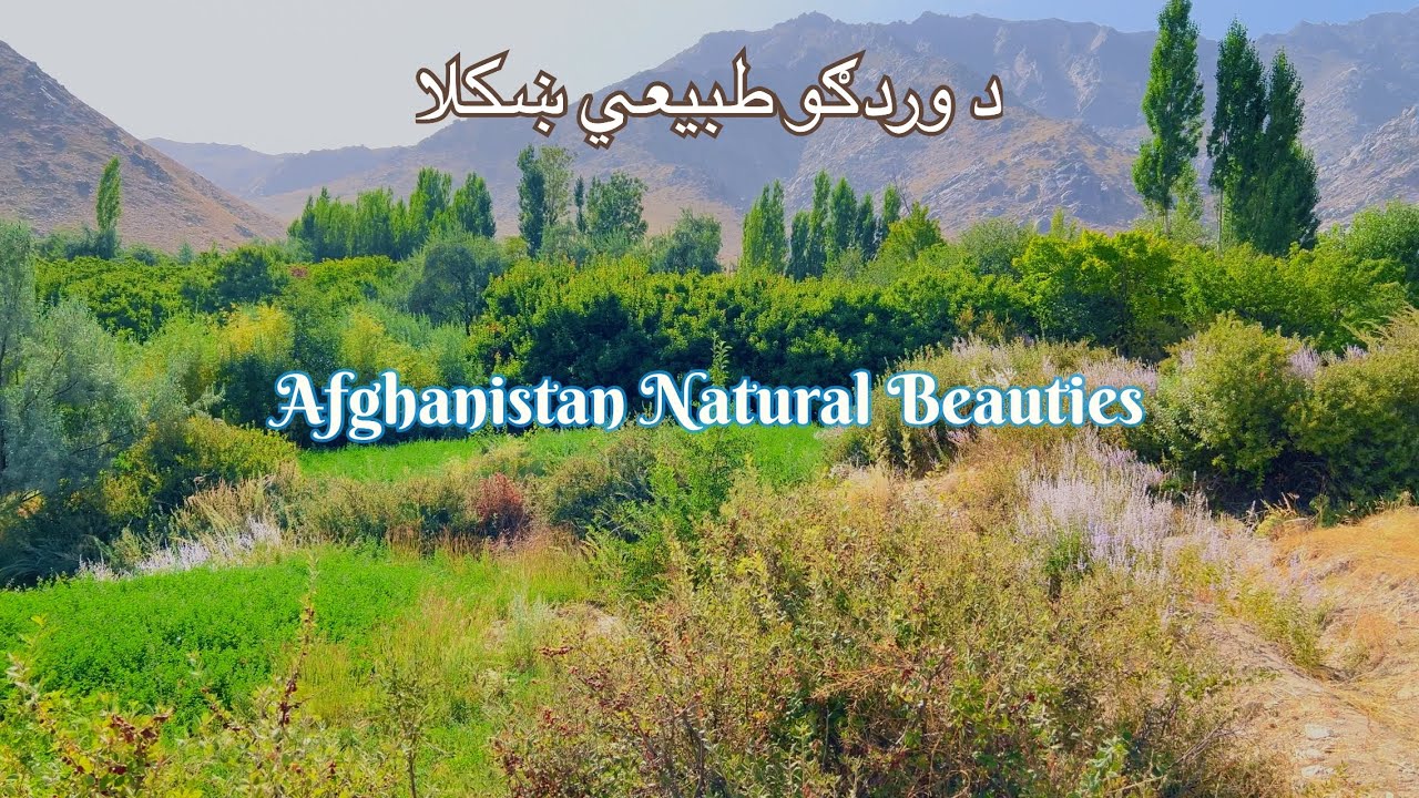 Discover the Natural Beauty of Alasang Village, Wardak, Afghanistan ...