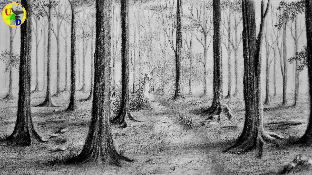 How To Draw A Forest With Pencil