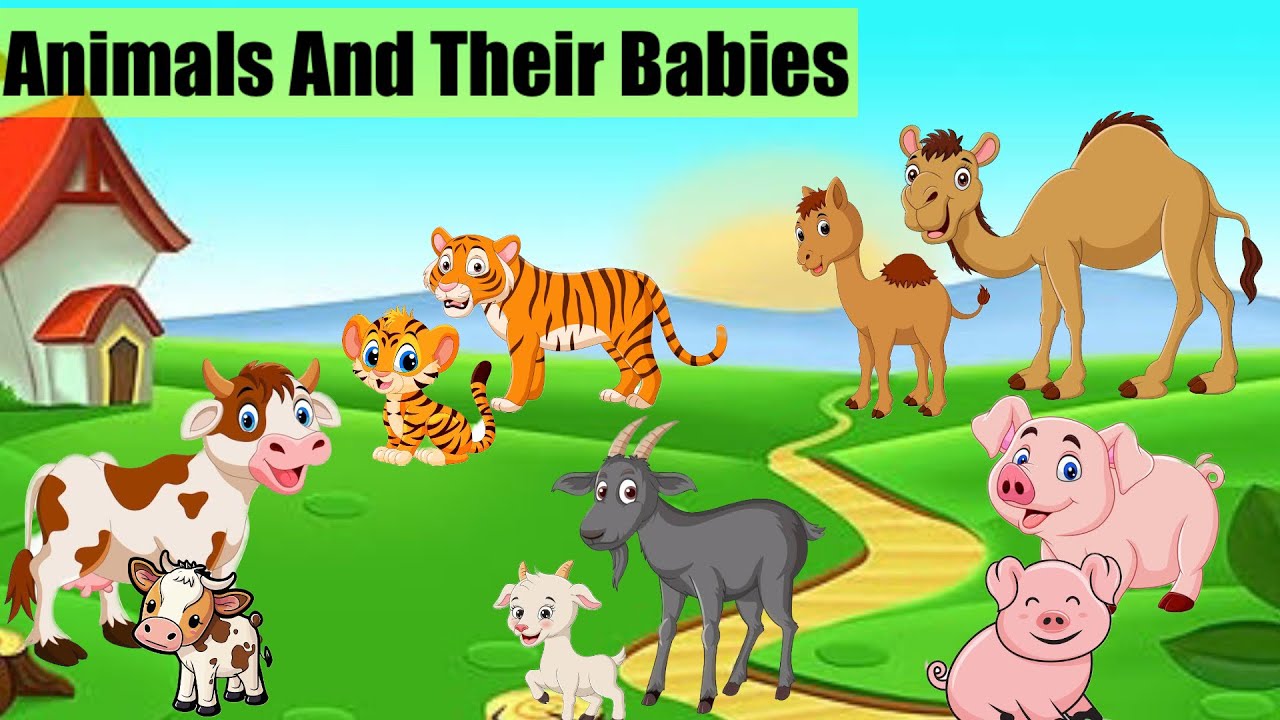 Animals And Their Babies | Name Of Some Animals And Their Young Ones ...