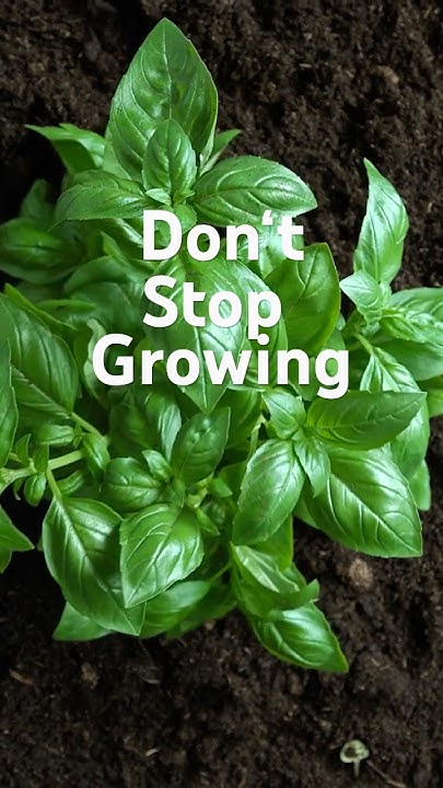 Don't Stop Growing - YouTube