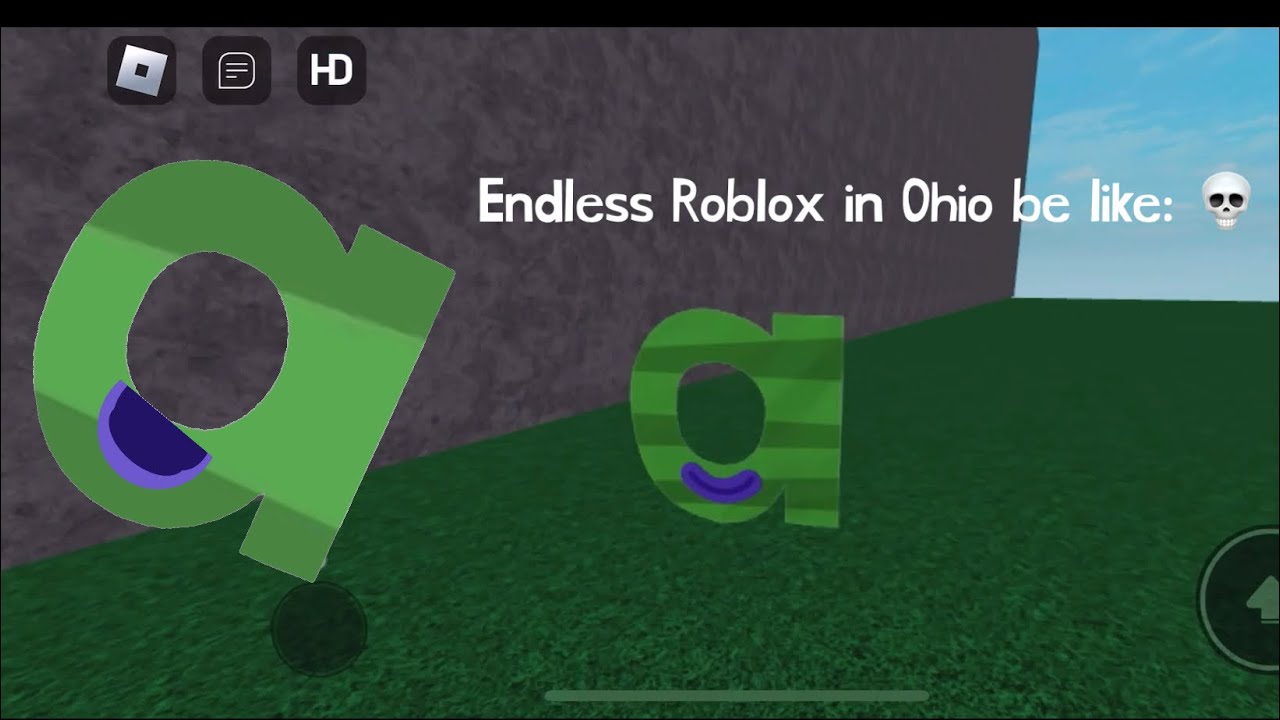 Endless Roblox in Ohio be like: 💀 - YouTube