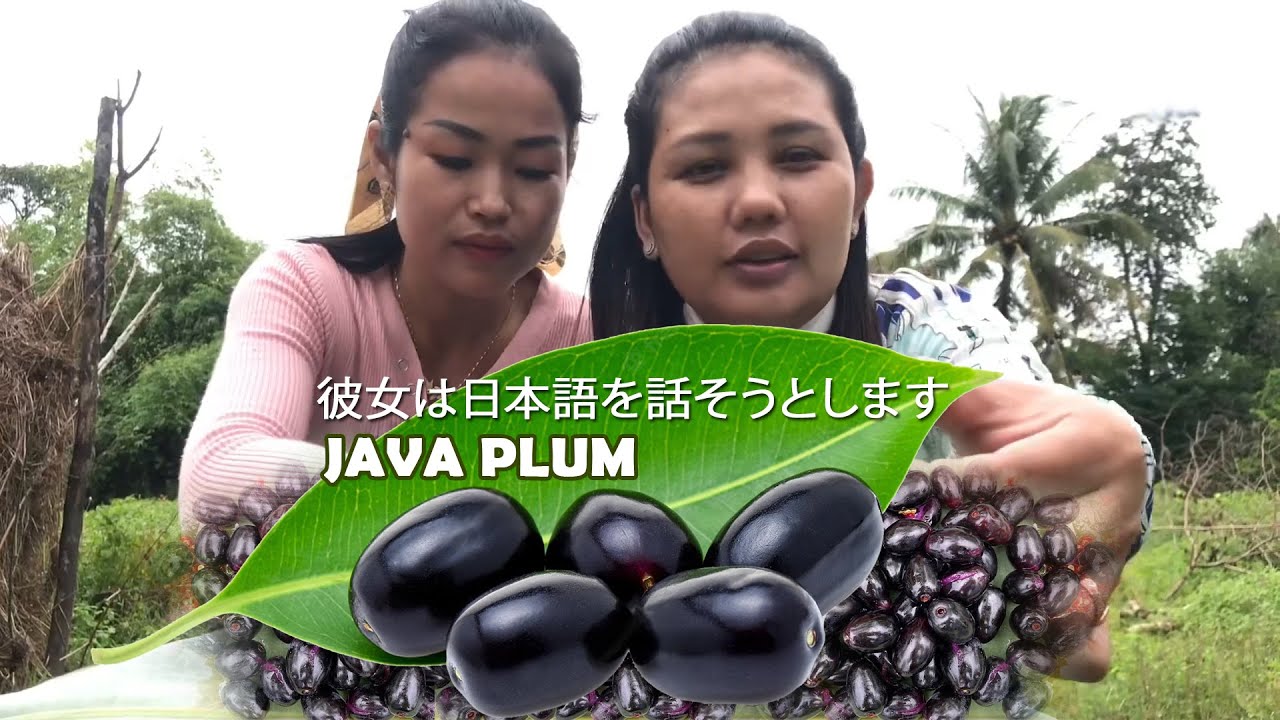 My sisters are eating Java plum and speak Japanese - YouTube