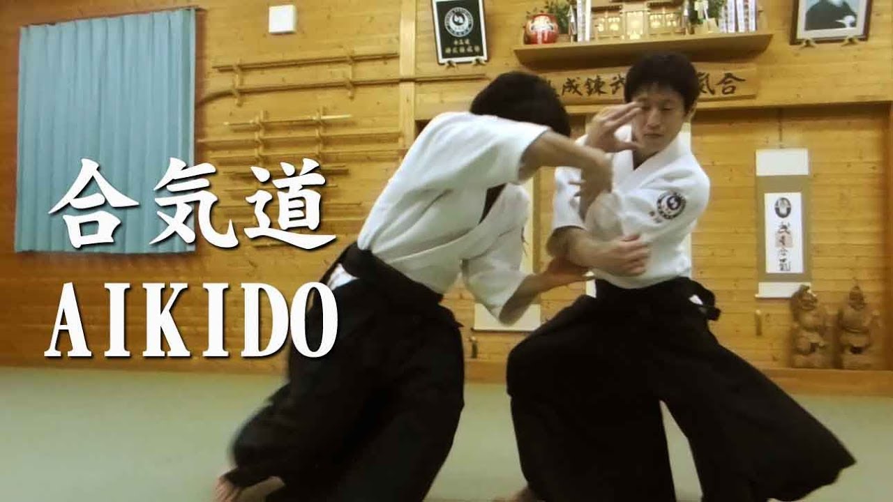 Dynamic & Beautiful Aikido 02 ダイナミックで美しい合気道 - YouTube
