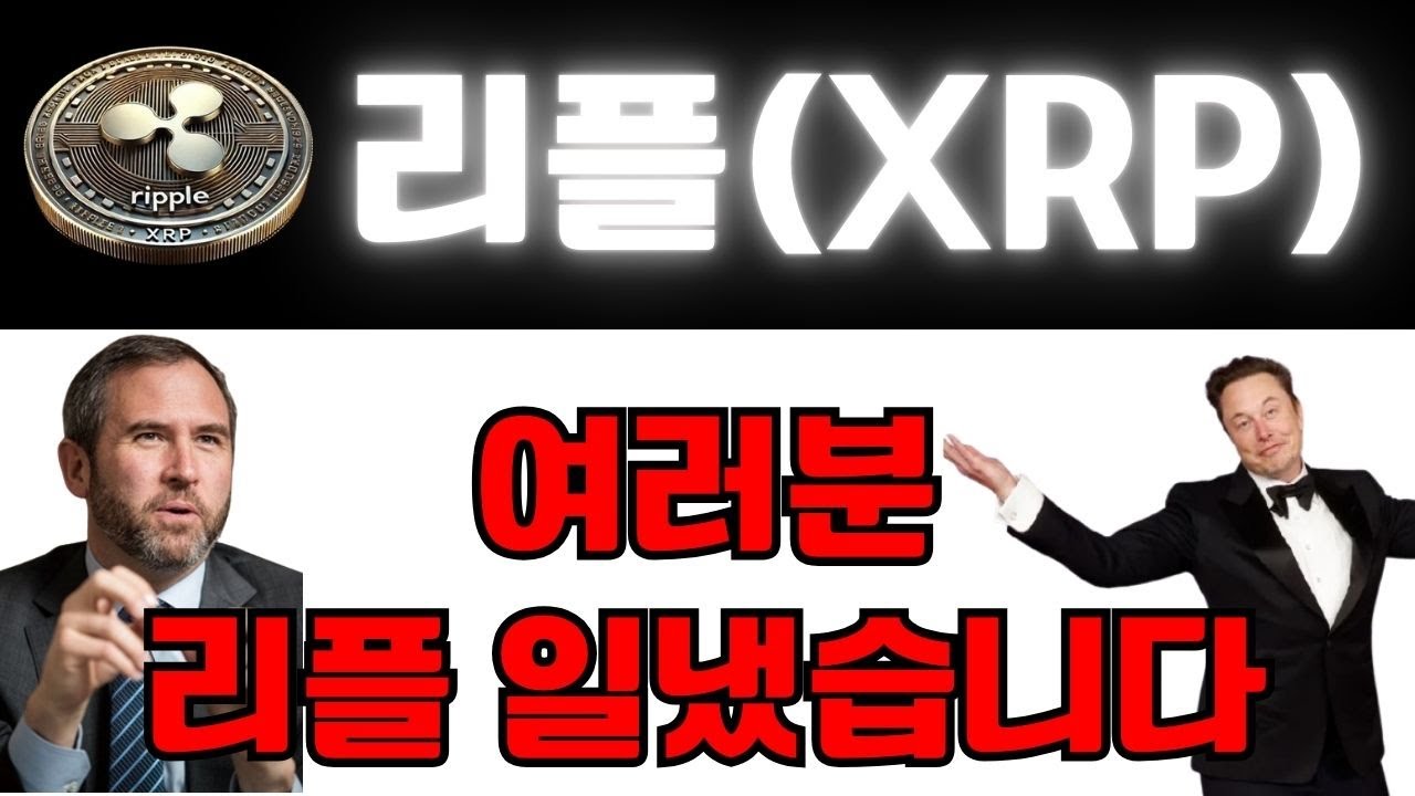 리플 미국전역은 리플 신드롬 드디어 리플이 터졌구나xrp 리플 리플코인 Youtube