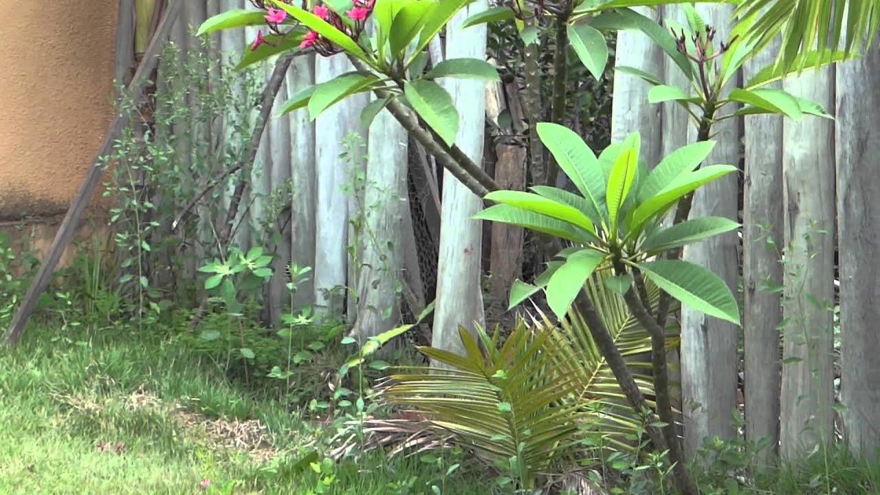 mandrová.MTS - YouTube