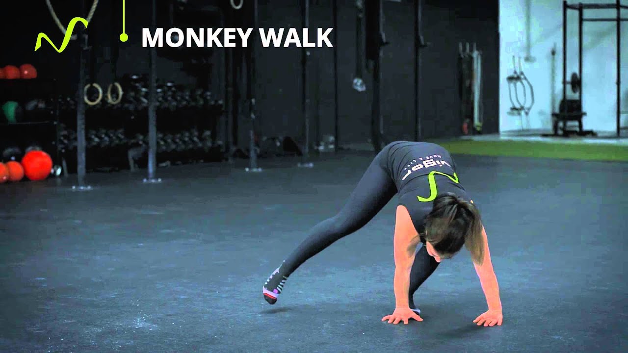 Monkey Walk - YouTube