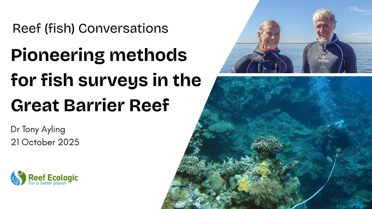 Reef (fish) Conversations - Pioneering methods for fish surveys in the ...