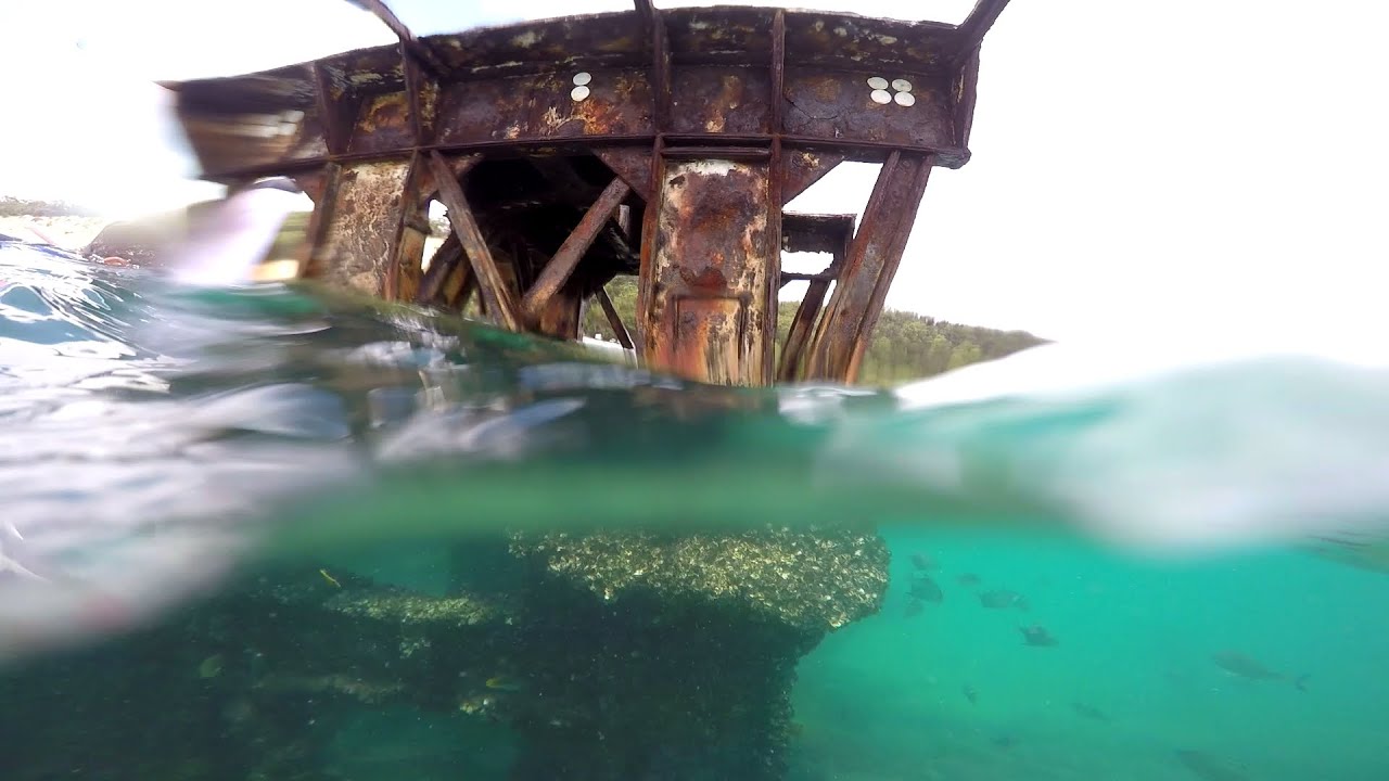 Snorkelling the Tangalooma Wrecks Moreton Island - YouTube