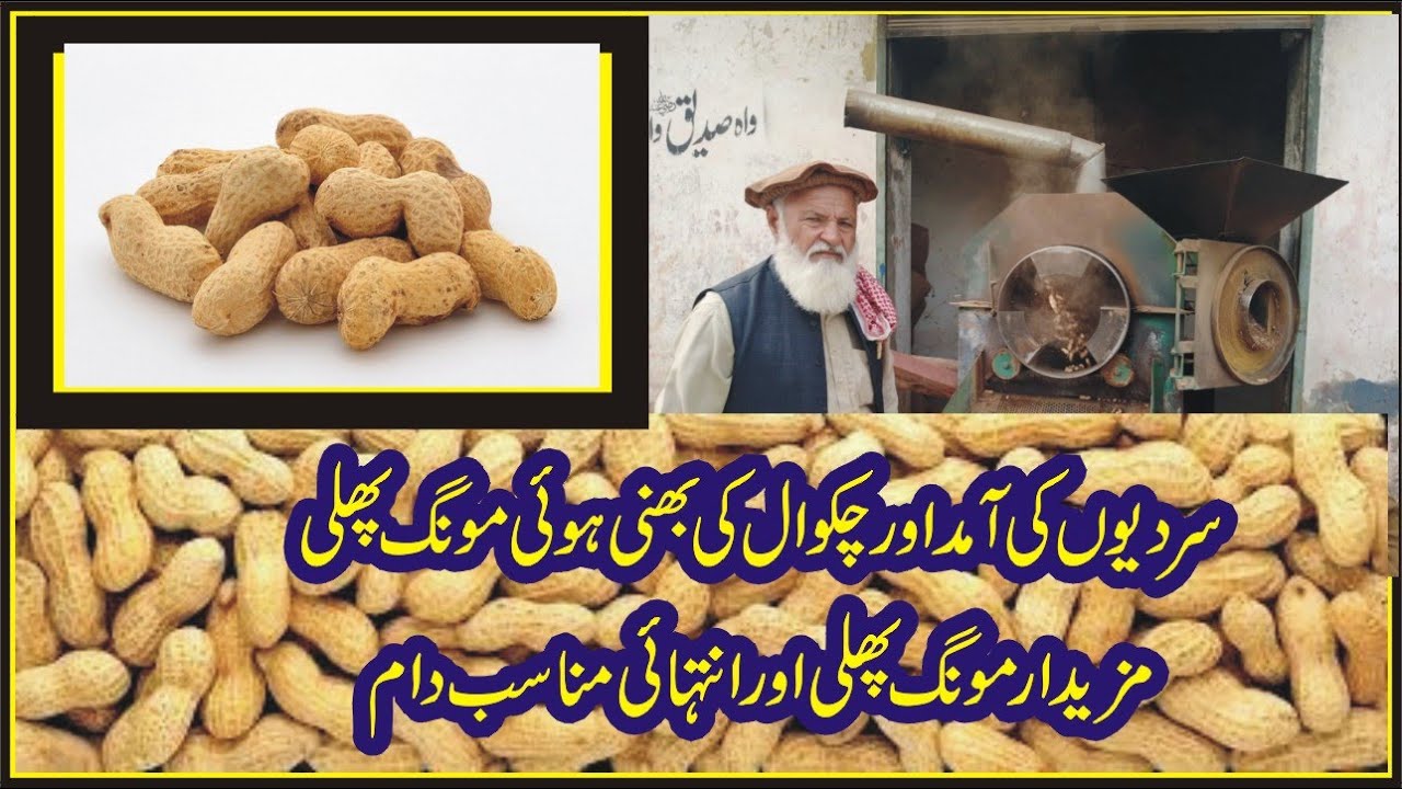 Chakwal ke market main Bhuni hui (Roasted) Mongfali || Bhuni hui mong ...