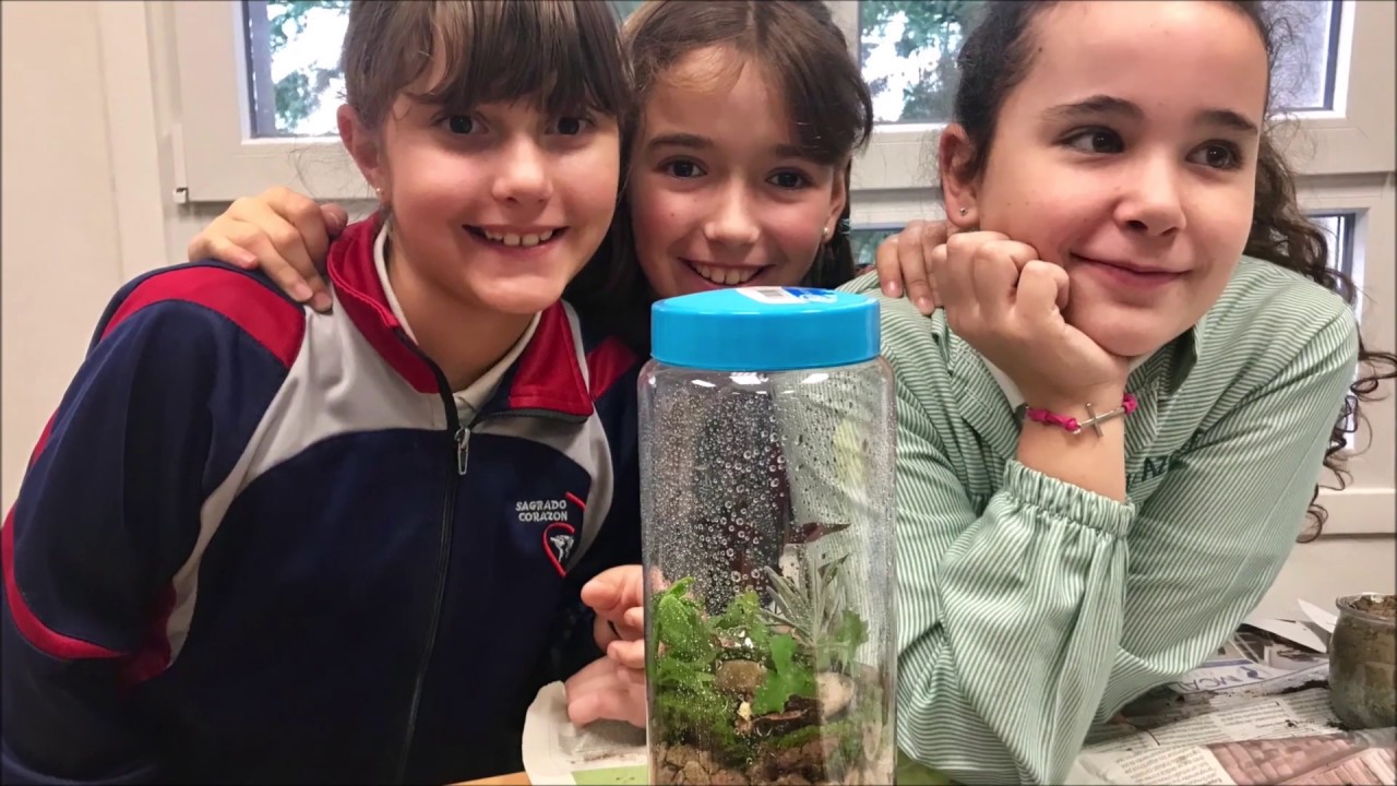 Terrarios solidarios en 5º de Primaria para el Colegio de El Congo ...