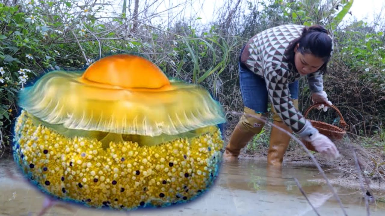 crazy. , 😱‼ Clam shells were found in rivers carried by rapids. #Pearl ...