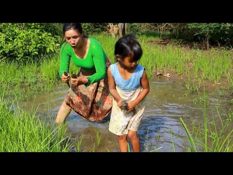Catch and cook fish of survival in forest- Grilled fish for dinner ...